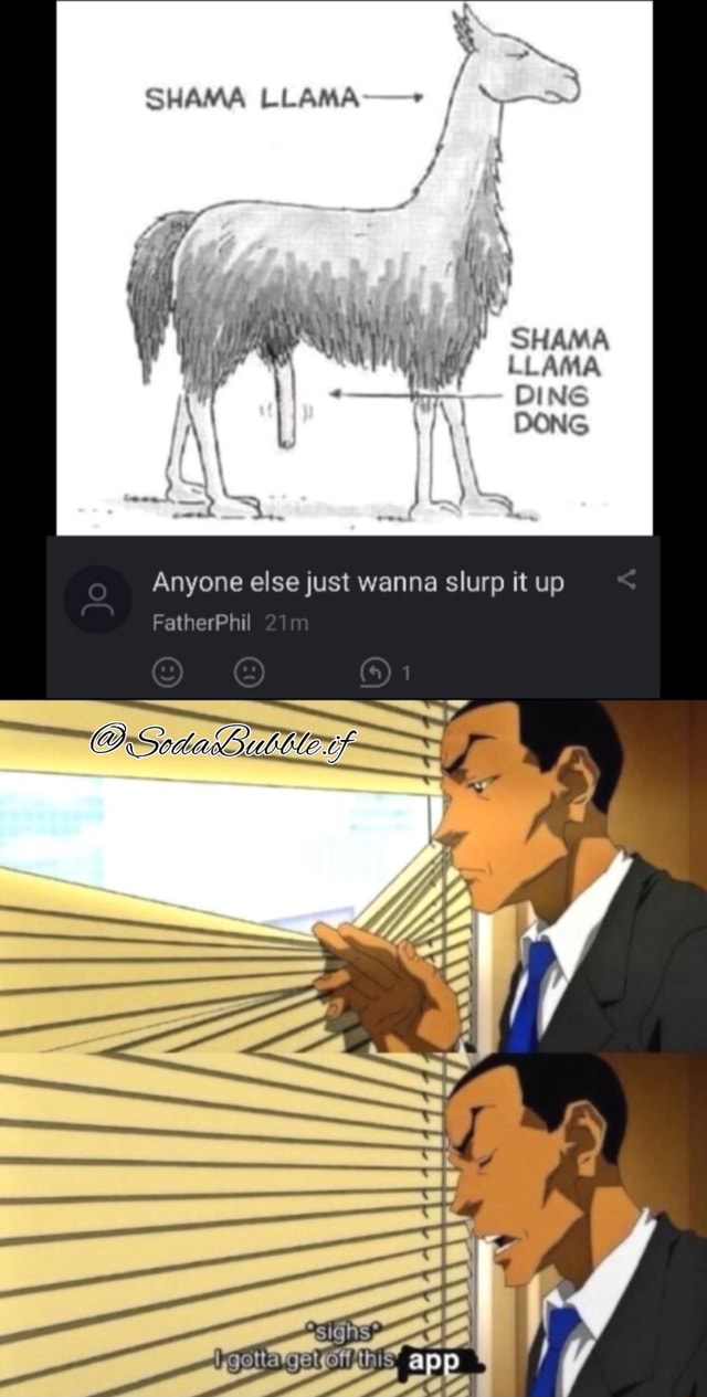 SHAMA LLAMA--+ / SHAMA LLAMA DING DONG Anyone else just wanna slurp it ...