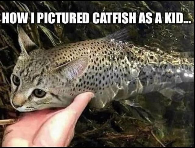 HOW PICTURED CATFISH AS A KID_" - iFunny