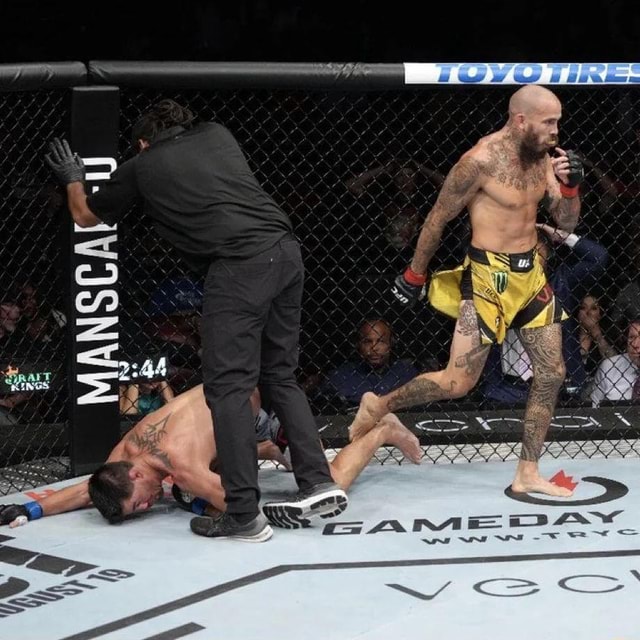 Marlon Chito Vera ladies and gentlemen 🥶🥶 #marlonvera #mixedmartialarts ...