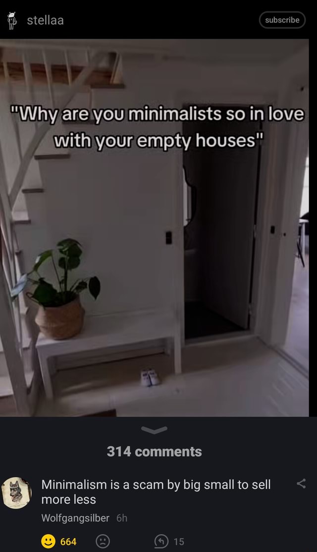 Stellaa subscribe "Why, are you minimalists so in love with your empty ...