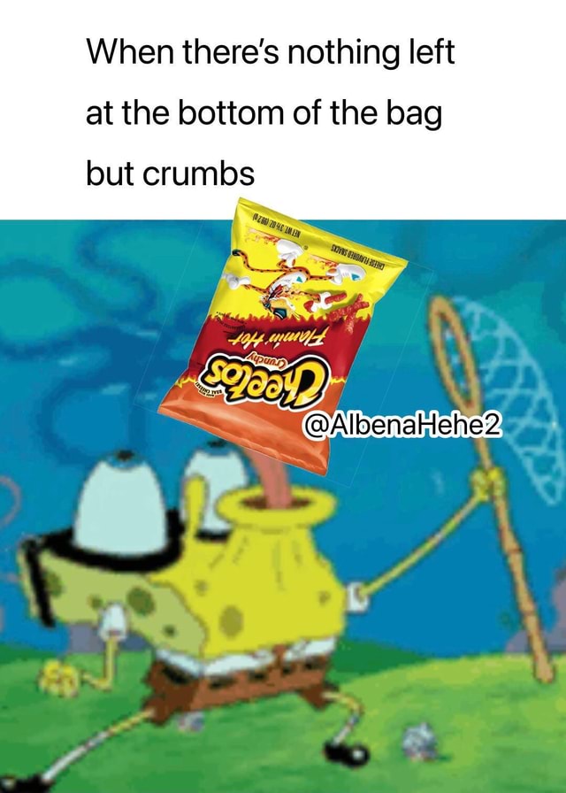When there's nothing left at the bottom of the bag but crumbs - iFunny