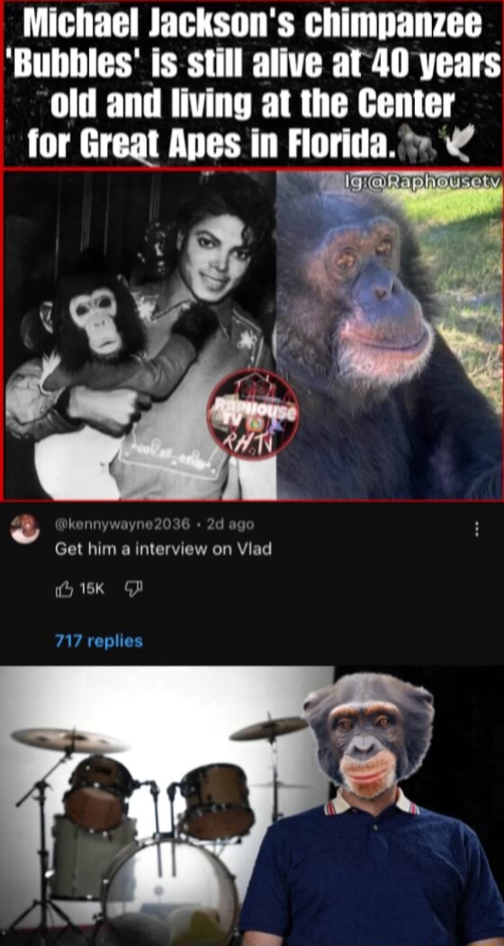 Michael Jackson's chimpanzee 'Bubbles' is-still alive at 40 years old ...