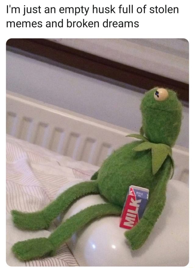 I'm just an empty husk full of stolen memes and broken dreams - iFunny