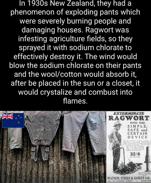 In 1930s New Zealand, they had a phenomenon of exploding pants which ...