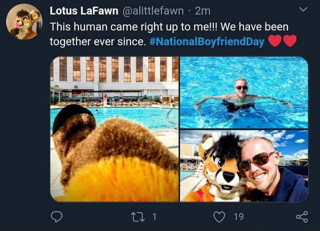 Lotus LaFawn @alittlefawn This human came right up to me!!! We have ...
