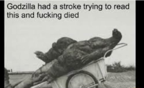 Godzilla had a stroke trying to read this and fucking died - iFunny