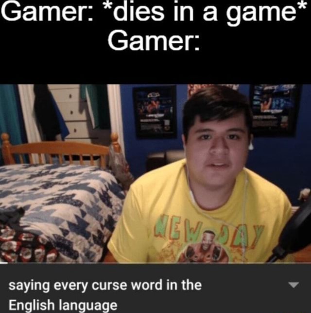 Gamer: "dies In a game* Gamer: saying every curse word in the English ...