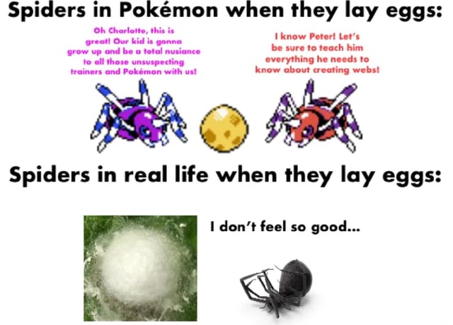 Spiders in Pokemon when they lay eggs: Oh Charlotte, this is great! Our ...