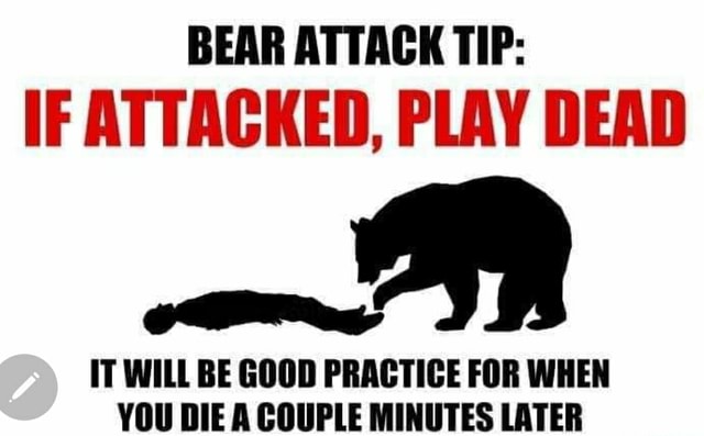BEAR ATTACK TIP: IF ATTACKED, PLAY DEAD IT WILL BE GOOD PRACTICE FOR ...