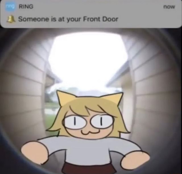 RING Someone is at your Front Door - iFunny