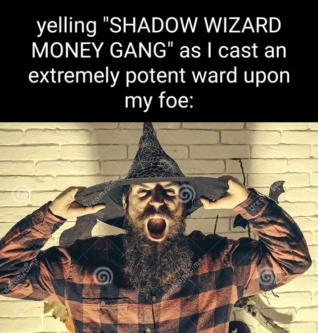 Yelling "SHADOW WIZARD MONEY GANG" as I cast an extremely potent ward ...