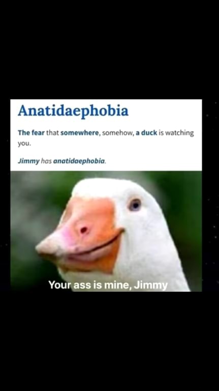 Anatidaephobia Jimmy has anatidaephobia The fear that somewhere somehow ...