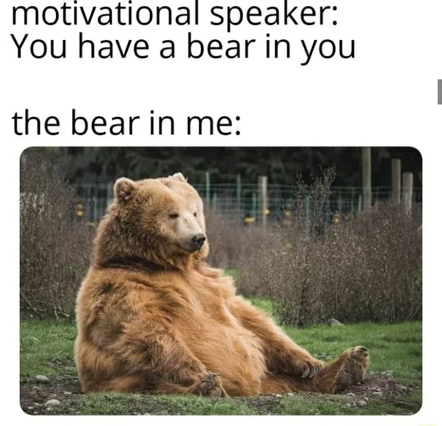Motivational speaker: You have a bear in you the bear in me: - iFunny
