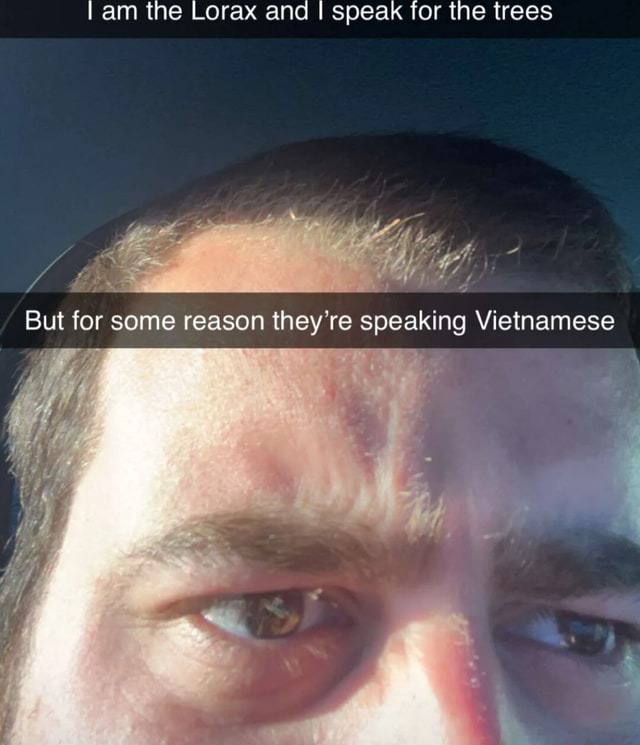 I am the Lorax and I speak for the trees But for some reason they're ...