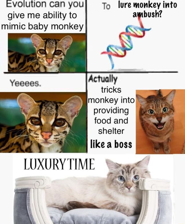 Evolution can you give me ability to mimic baby monkey To lure monkey ...