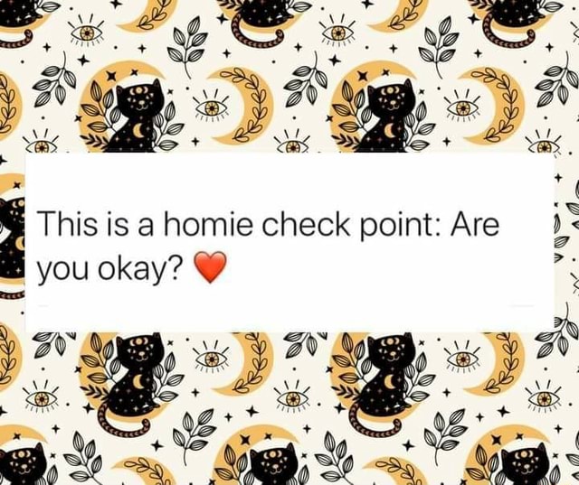 Ss This is a homie check point: Are you okay? ww - iFunny