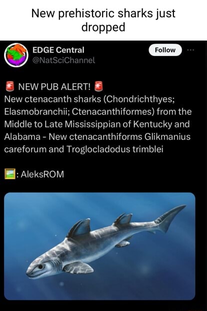New prehistoric sharks just dropped EDGE Central NEW PUB ALERT! New ...