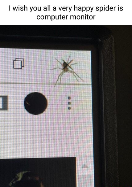 I wish you all a very happy spider is computer monitor - iFunny
