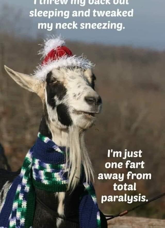 Uy Van UL sleeping and tweaked my neck sneezing. I'm just one fart away ...