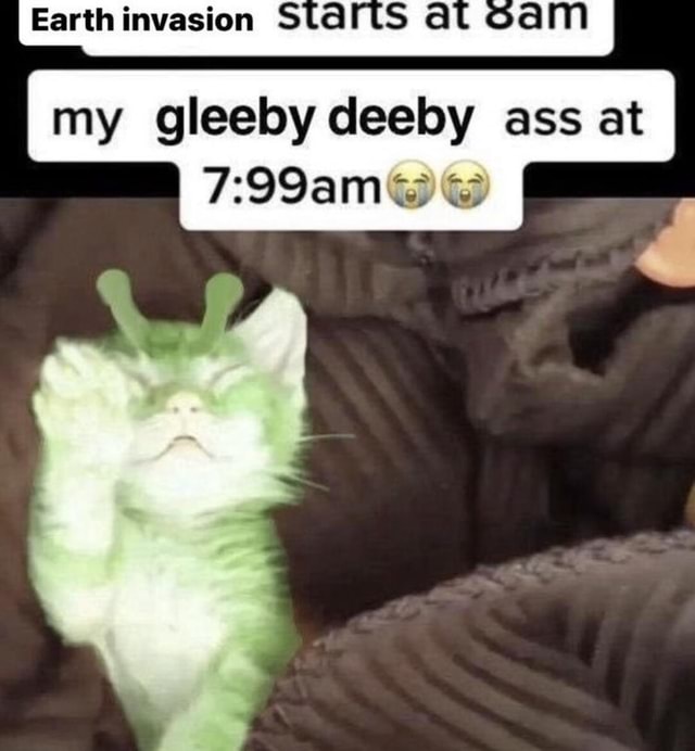 Eepy cat bois me - Earthinvasion StartS at oam my gleeby deeby ass at ...