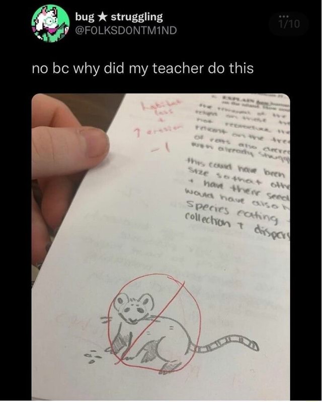 Bug struggling no be why did my teacher do this - iFunny
