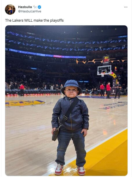 @ Hasbulla @ The Lakers WILL make the playoffs - America’s best pics ...