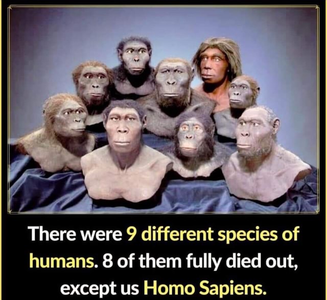 There were 9 different species of humans. 8 of them fully died out ...