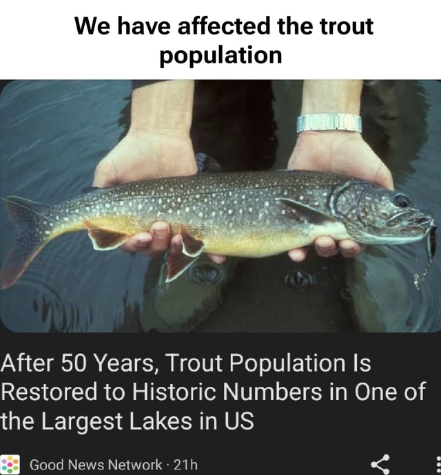 We have affected the trout population qa After 50 Years, Trout ...