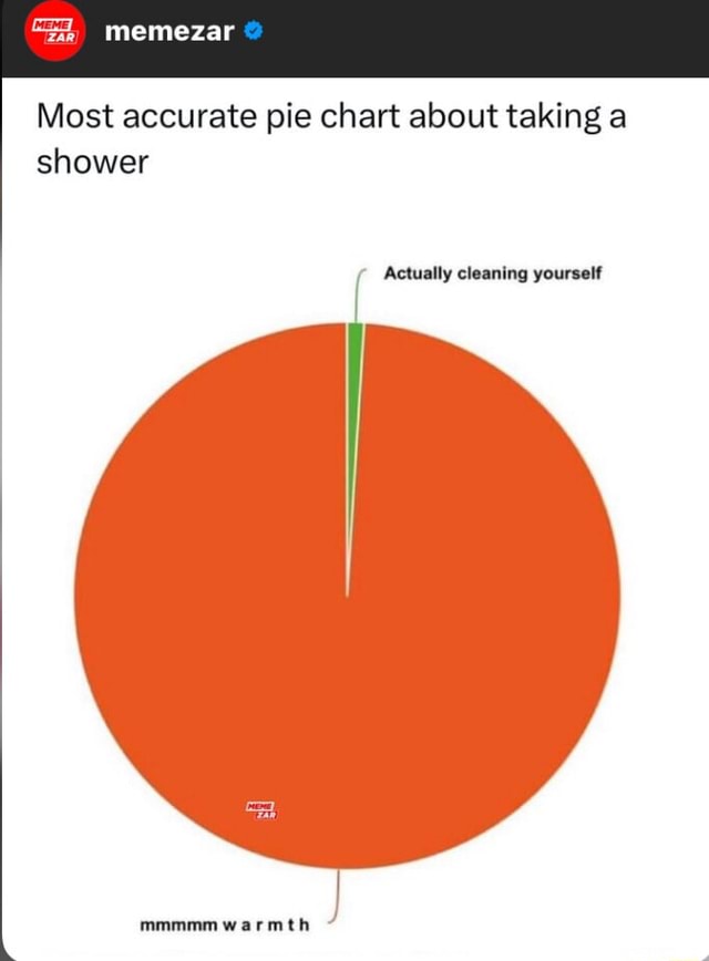 Most accurate pie chart about taking a shower Actually cleaning ...