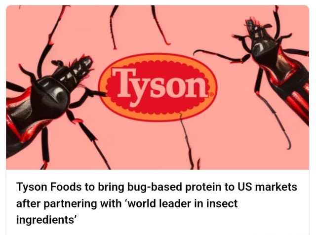 Tyson Foods to bring bug-based protein to US markets after partnering ...
