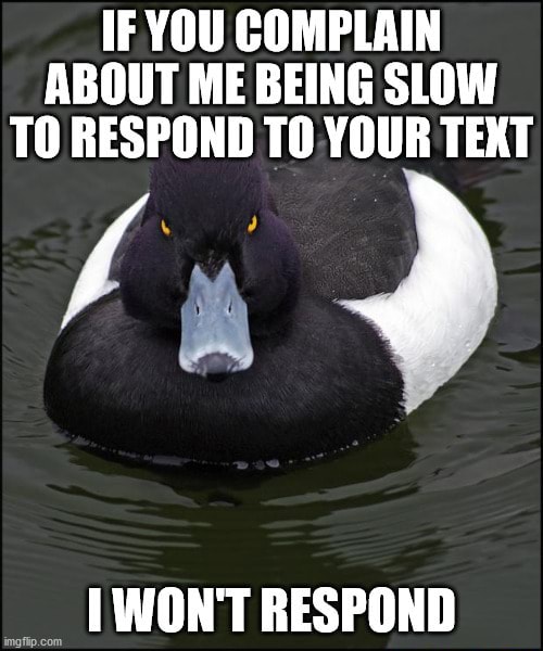 IF YOU COMPLAIN ABOUT ME BEING SLOW TO RESPOND TO YOUR TEXT WON'T ...