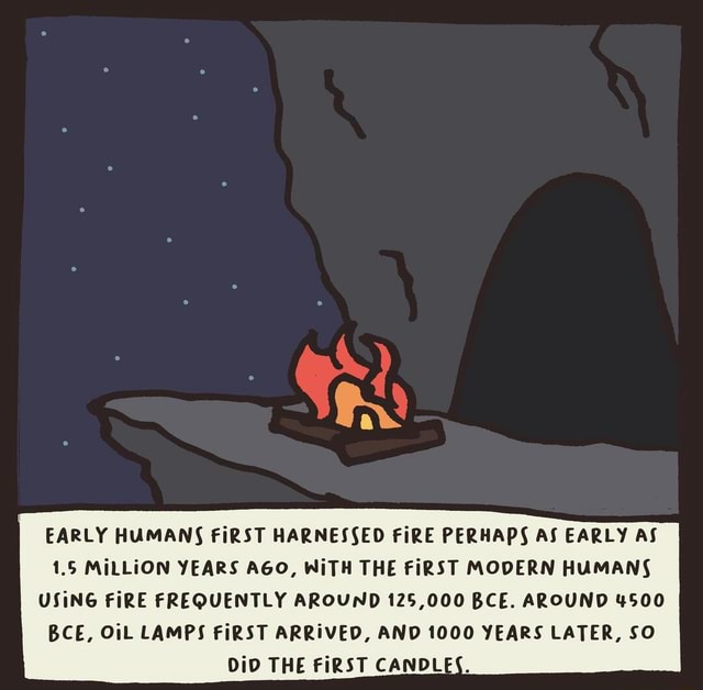 TN5.8- Light - EARLY HUMANS FIRST HARNESSED FIRE PERHAPS AS EARLY AS 1. ...
