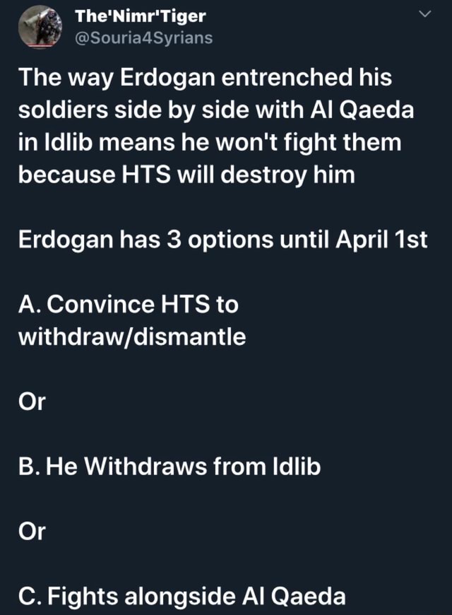 TEO arias The way Erdogan entrenched his soldiers side by side with Al ...