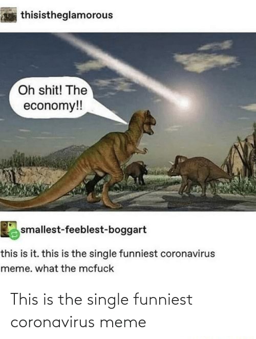 This is the single funniest coronavirus meme - istheglamorous Oh shit ...