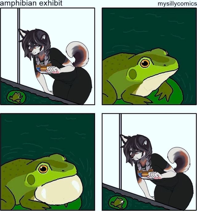 Amphibian exnibit - iFunny