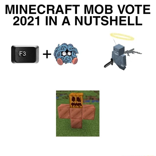 MINECRAFT MOB VOTE 2021 IN A NUTSHELL me - iFunny