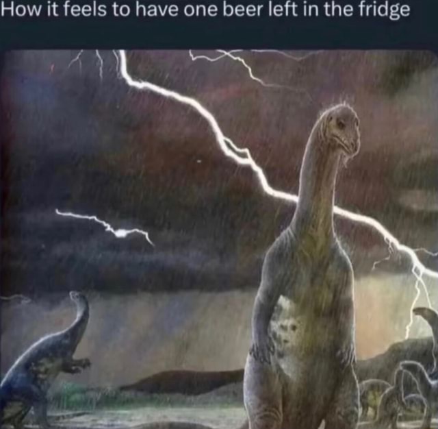 How it feels to have one beer left in the fridge - iFunny
