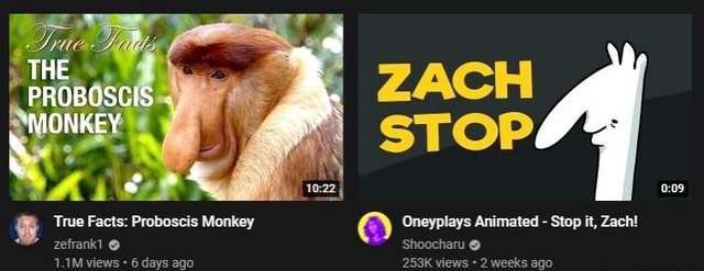 THE *MONKEY PROBOSCIS True Facts: Proboscis Monkey zefrankl 1.1M views ...