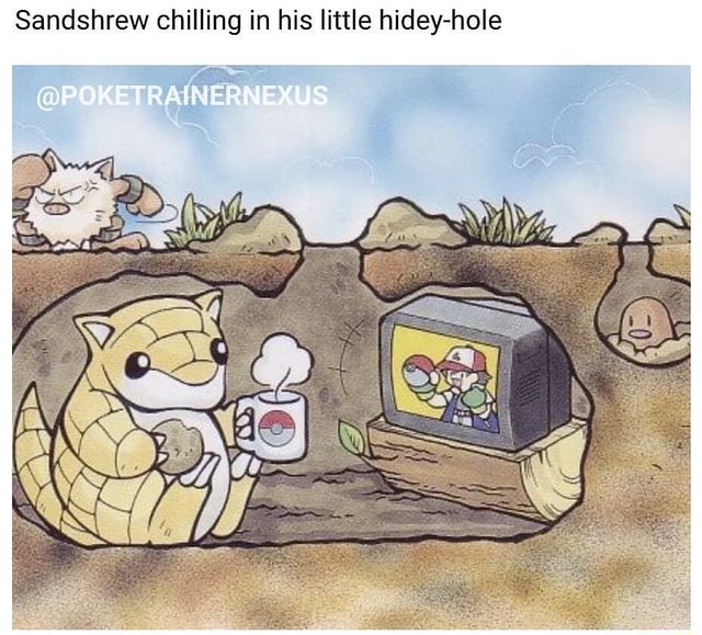 Sandshrew chilling in his little hidey-hole @POKETRAINERNEXUS - iFunny