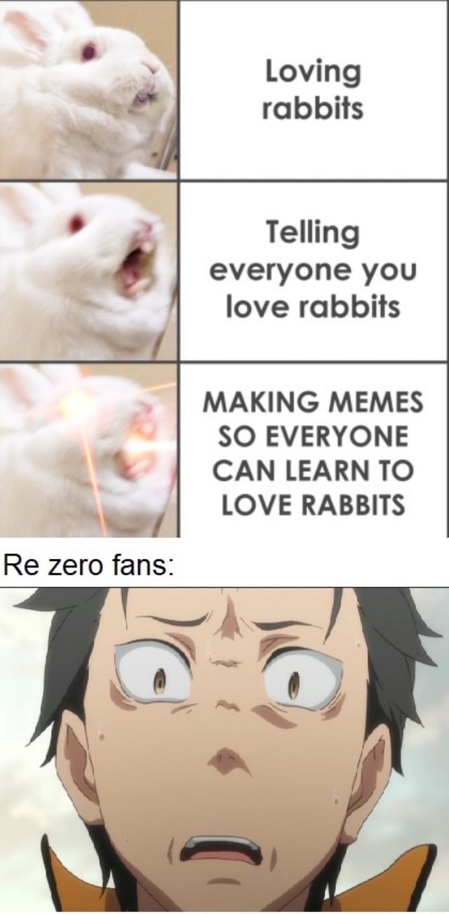 Loving rabbits Telling everyone you love rabbits MAKING MEMES SO ...
