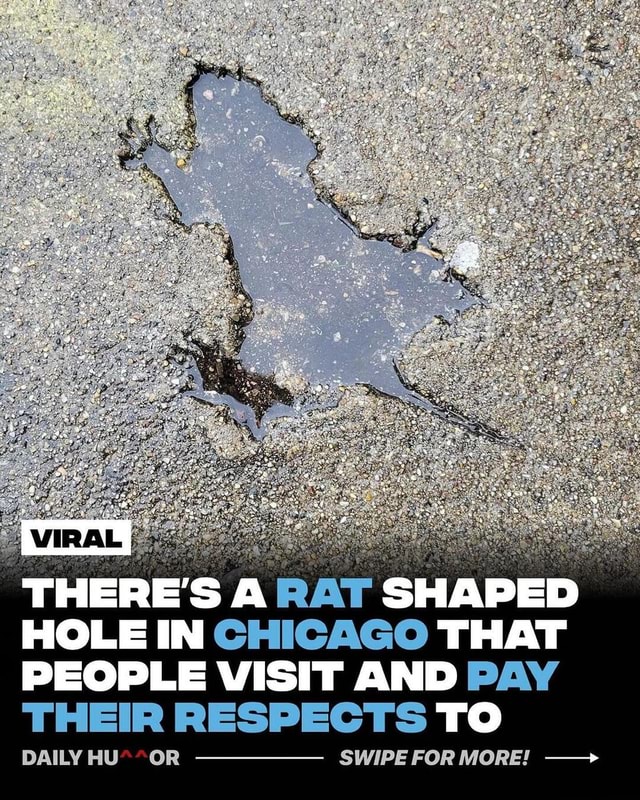 The Chicago rat hole is a hole shaped like a rat in the sidewalk of ...