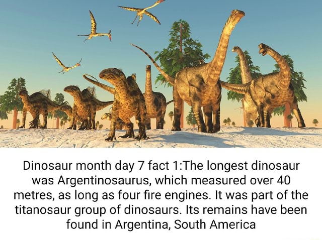 Dinosaur month day 7 fact longest dinosaur was Argentinosaurus, which ...