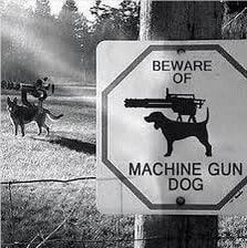 BEWARE, OF MACHINE GUN, DOG - iFunny