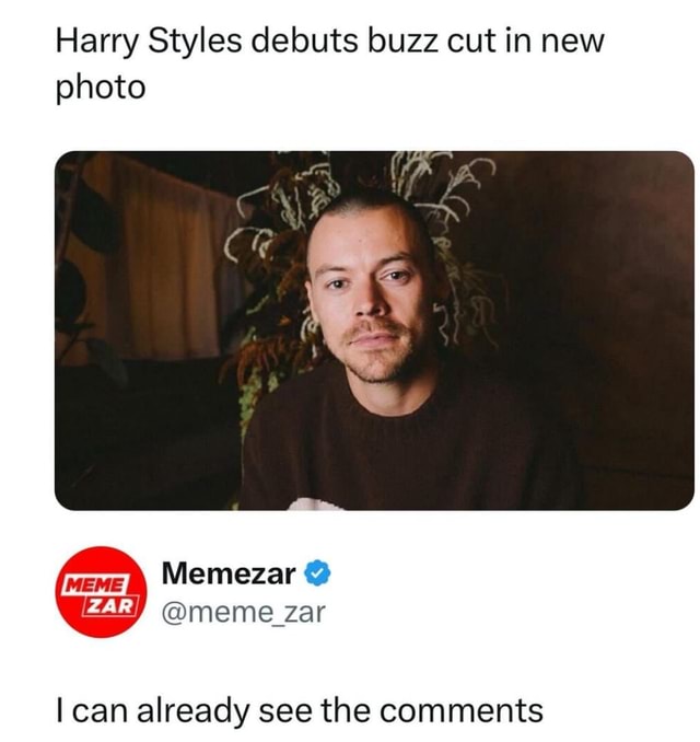 Harry Styles debuts buzz cut in new photo Memezar @meme zar I can ...
