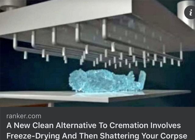 A New Clean Alternative To Cremation Involves Freeze-Drying And Then ...