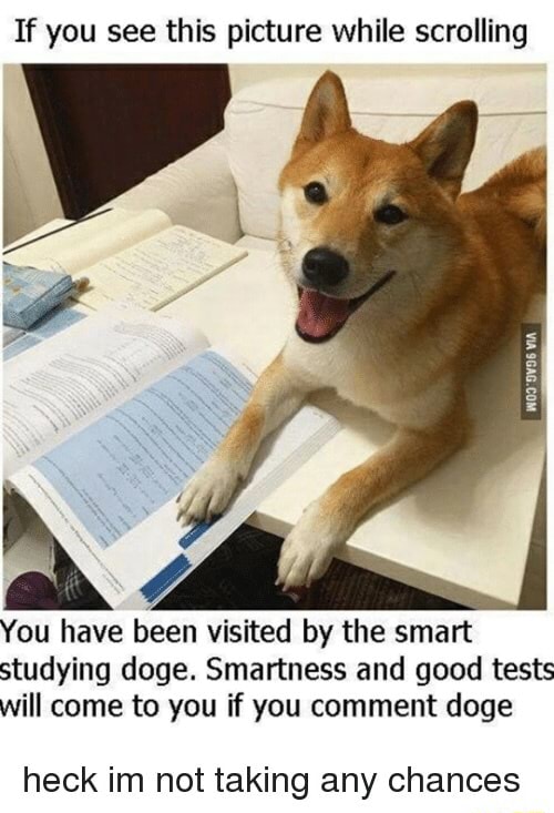 If you see this picture while scrolling You have been visited by the ...