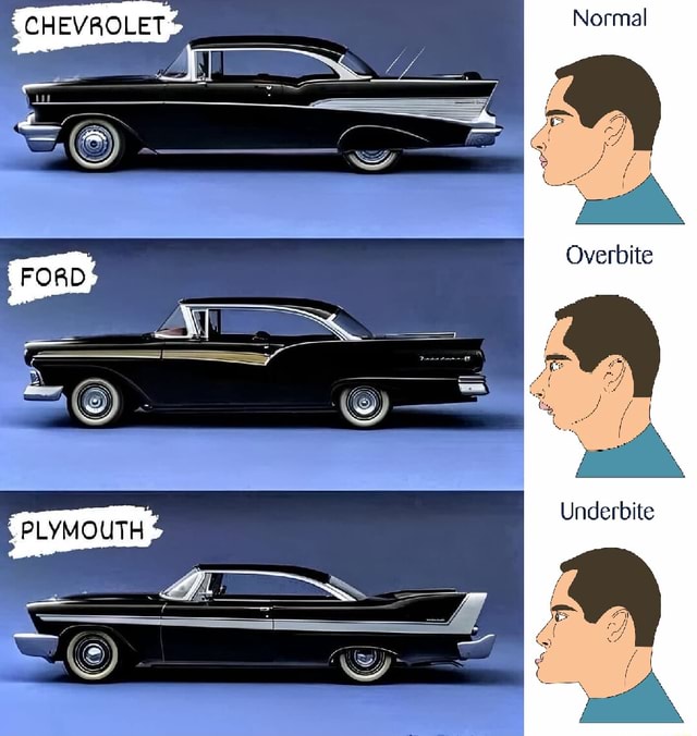 EVAOLET: Normal Overbite Underbite - iFunny