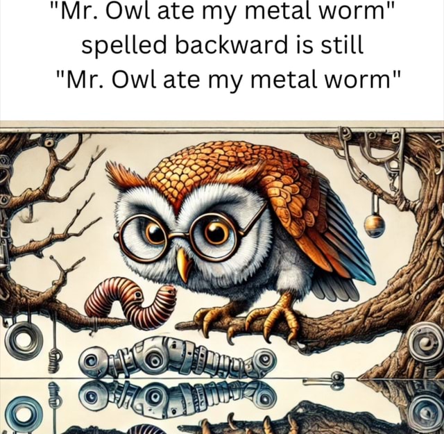 "Mr. Owl ate my metal worm" spelled backward is still "Mr. Owl ate my ...