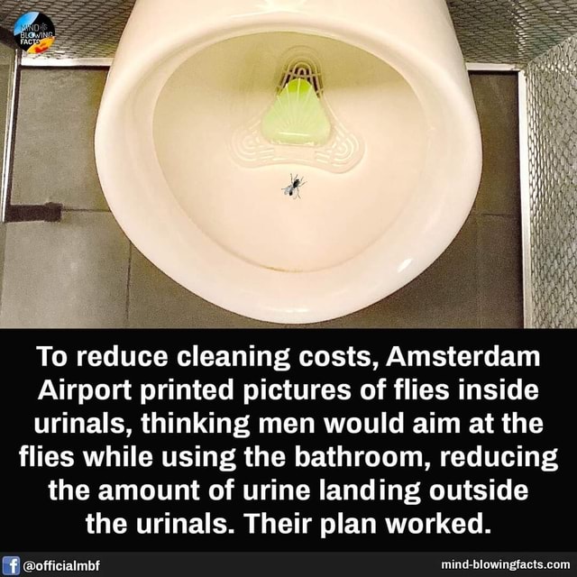 To reduce cleaning costs, Amsterdam Airport printed pictures of flies ...