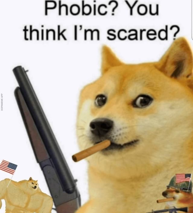 Phobic? You think I'm scared?, - iFunny